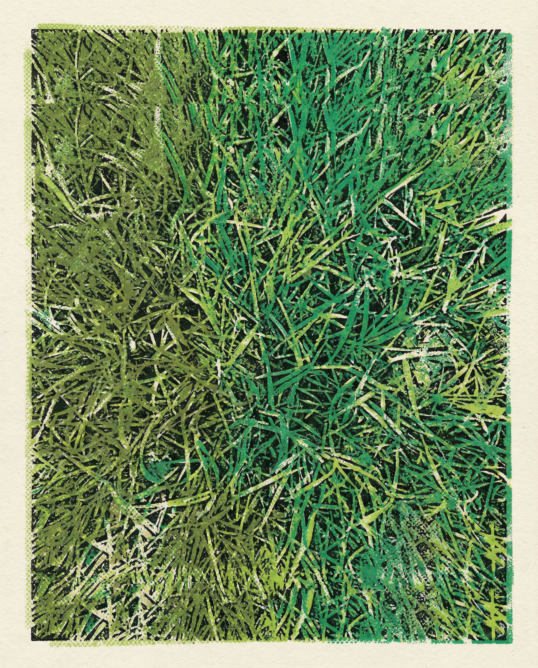 Touching Grass: Navigating the Age of Digital Fatigue | Moxie Sozo